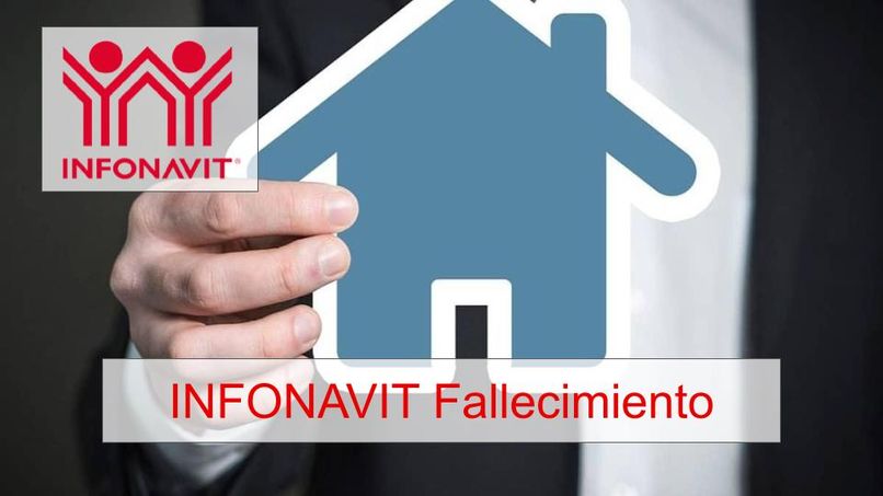 Infonavit Organigrama: Conoce como esta conformado 【2025】